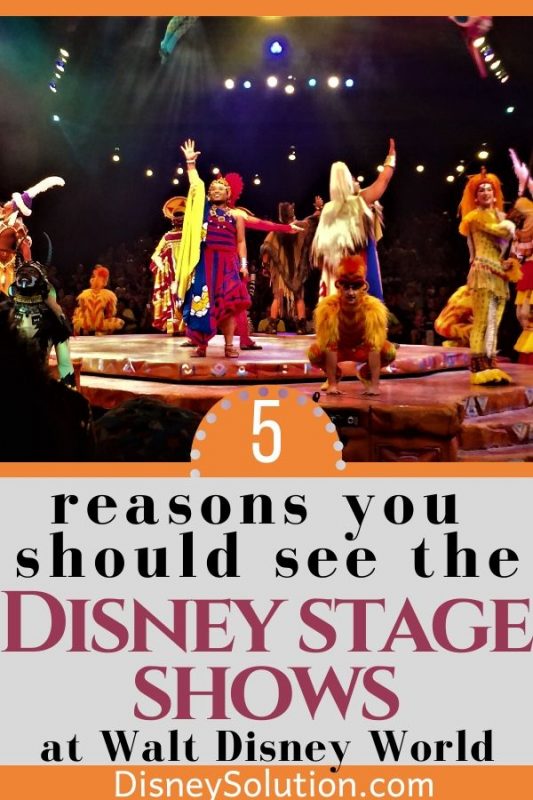 5 Reasons You Should See The Disney Stage Shows - Explore With Catherine